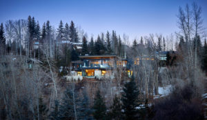 Aspen Modern - Linda Ruderman Interiors Boca Raton, Florida